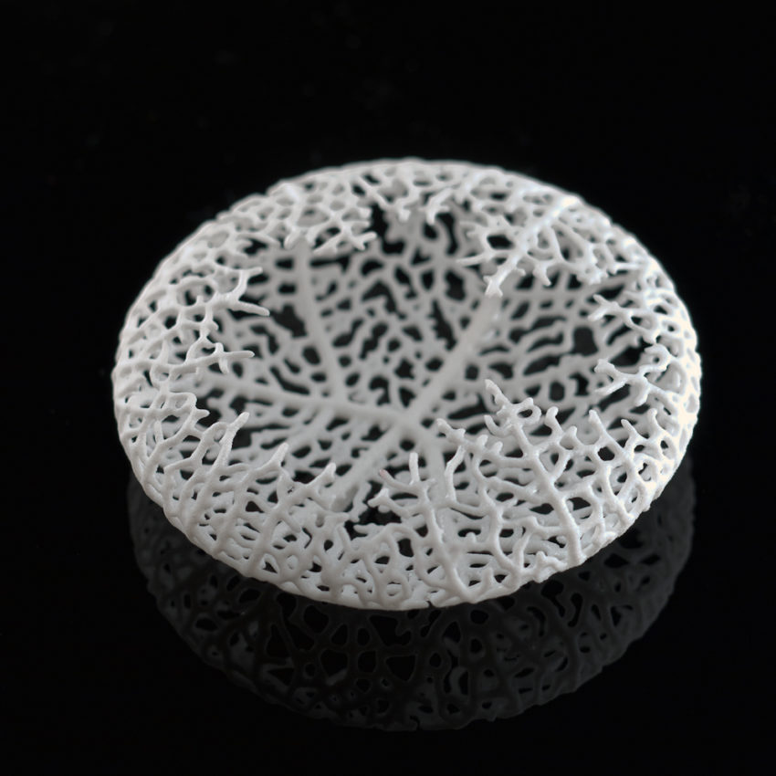 Hyphae – a new collection from Nervous System – Nervous System blog