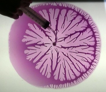 video: Hele-Shaw Cell experiments – Nervous System blog