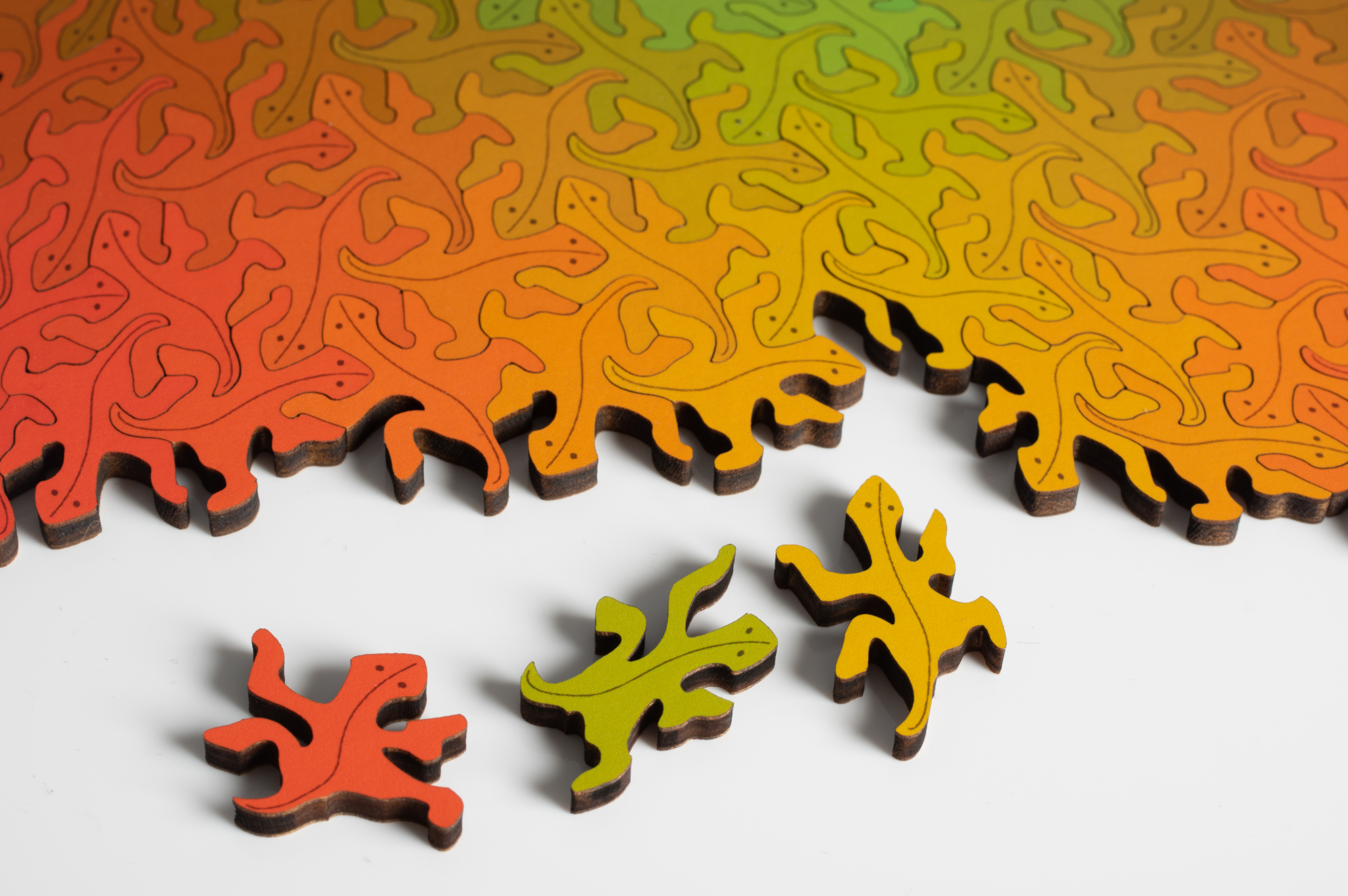 Lizard Infinity Puzzle™ – Nervous System blog