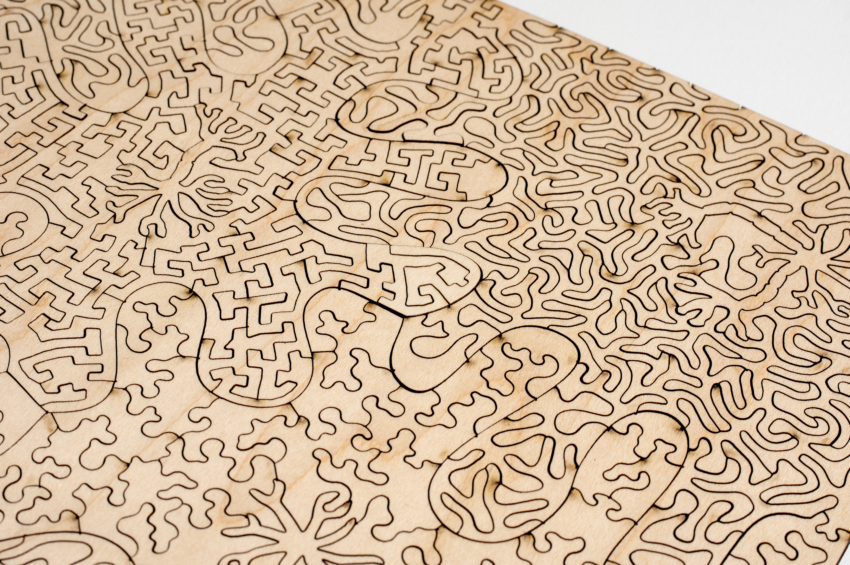 Neuron and Mycoplasma Puzzles with art by David S. Goodsell – Nervous System blog