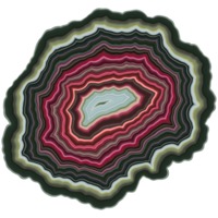 Nervous System | Generative Jigsaw Puzzles | Geode Puzzle