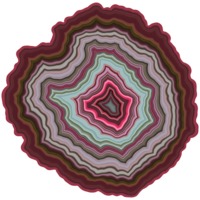 Nervous System | Generative Jigsaw Puzzles | Geode Puzzle