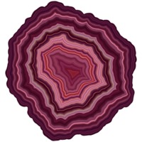 Nervous System | Generative Jigsaw Puzzles | Geode Puzzle