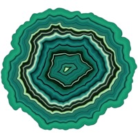 Nervous System | Generative Jigsaw Puzzles | Geode Puzzle