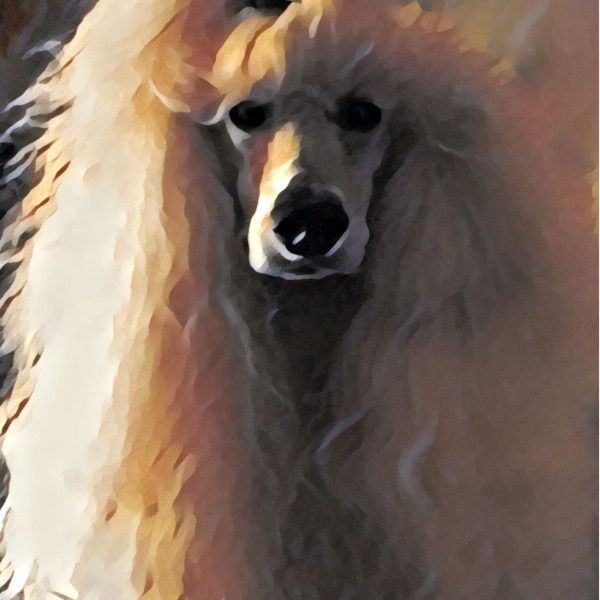 Nervous System | Custom Jewelry Design